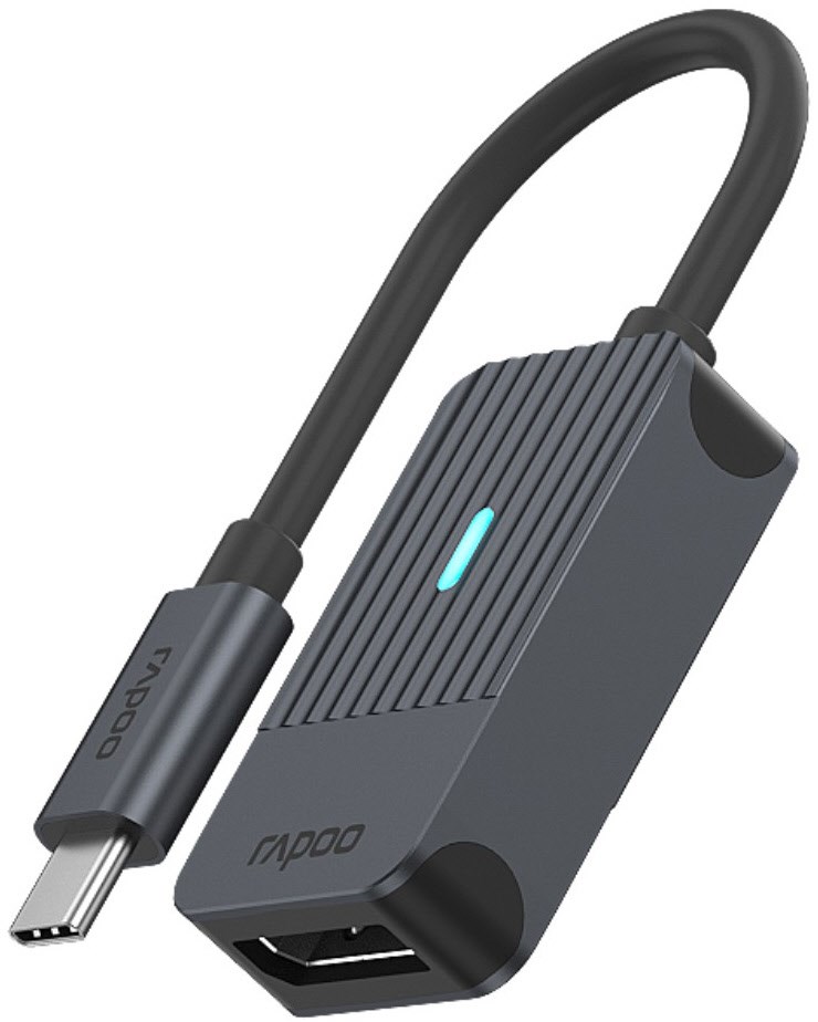 Rapoo USB-C>DisplayPort Adapter grau | EURONICS