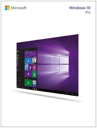 Microsoft Windows 10 Professional FPP | EURONICS